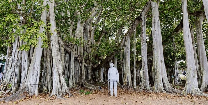 Edison – Statue of Edison in Trees | Always Want To Go