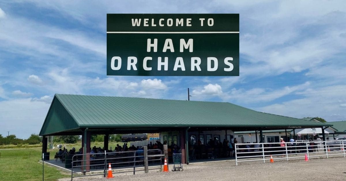 Airplanes, outstanding heroes, and peaches in North Texas – Always Want ...