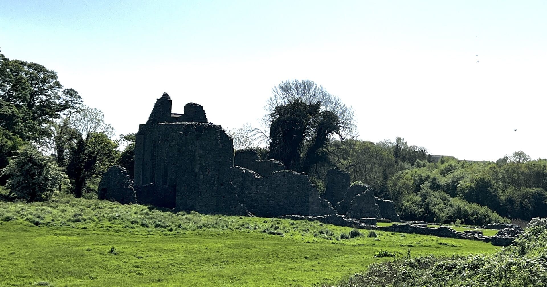 Nine things to see in Downpatrick, Northern Ireland | Always Want To Go