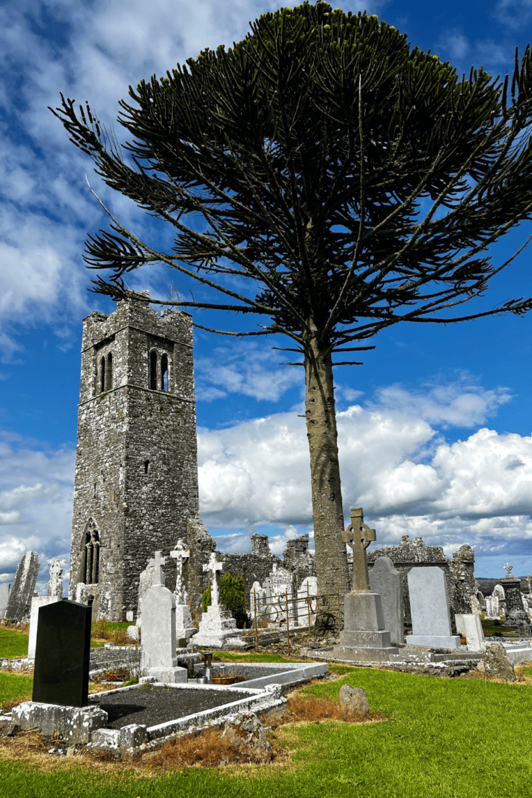 A day trip exploring Ireland | Always Want To Go